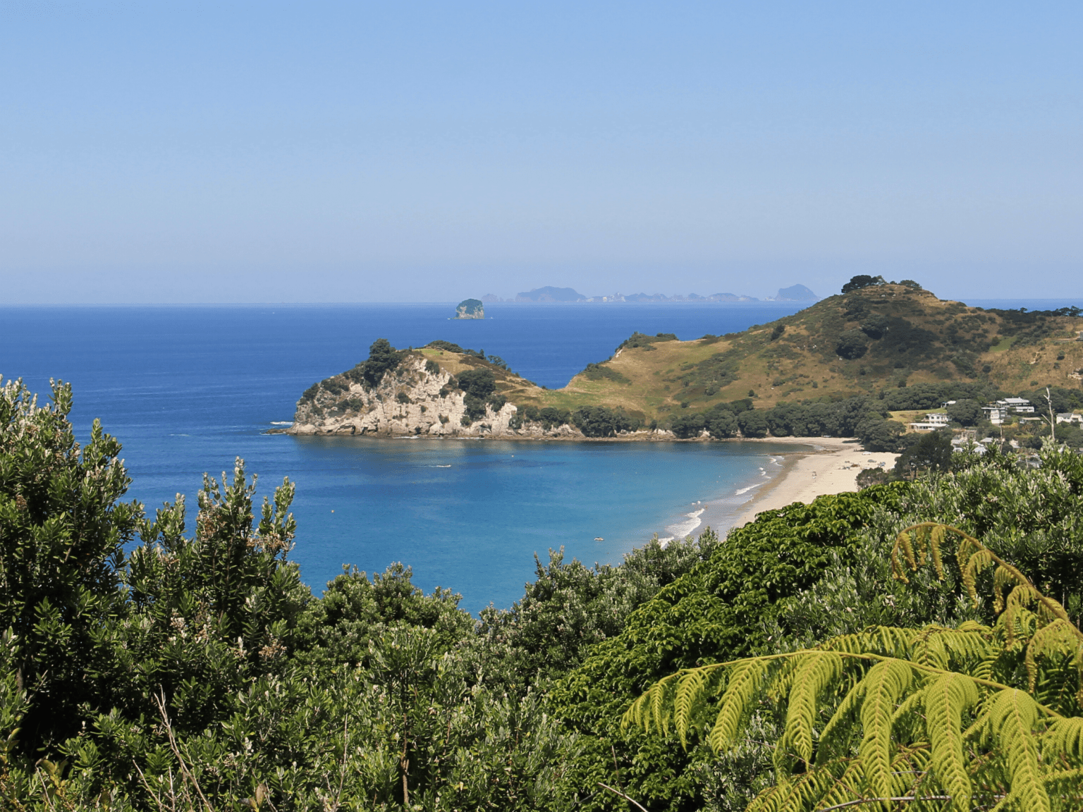 Coromandel peninsula: een prachtige plek in Nieuw-Zeeland! + tips